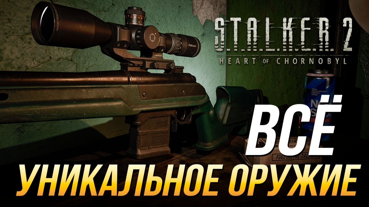 S.T.A.L.K.E.R. 2 - Где найти всё уникальное оружие