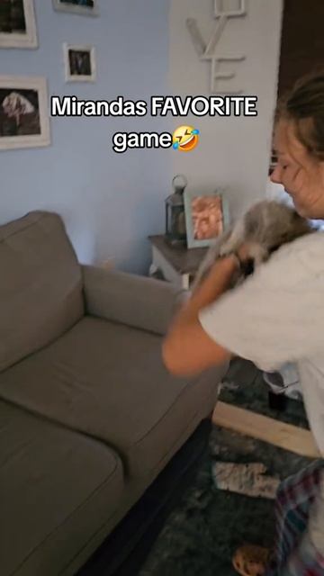 Брошка Енот