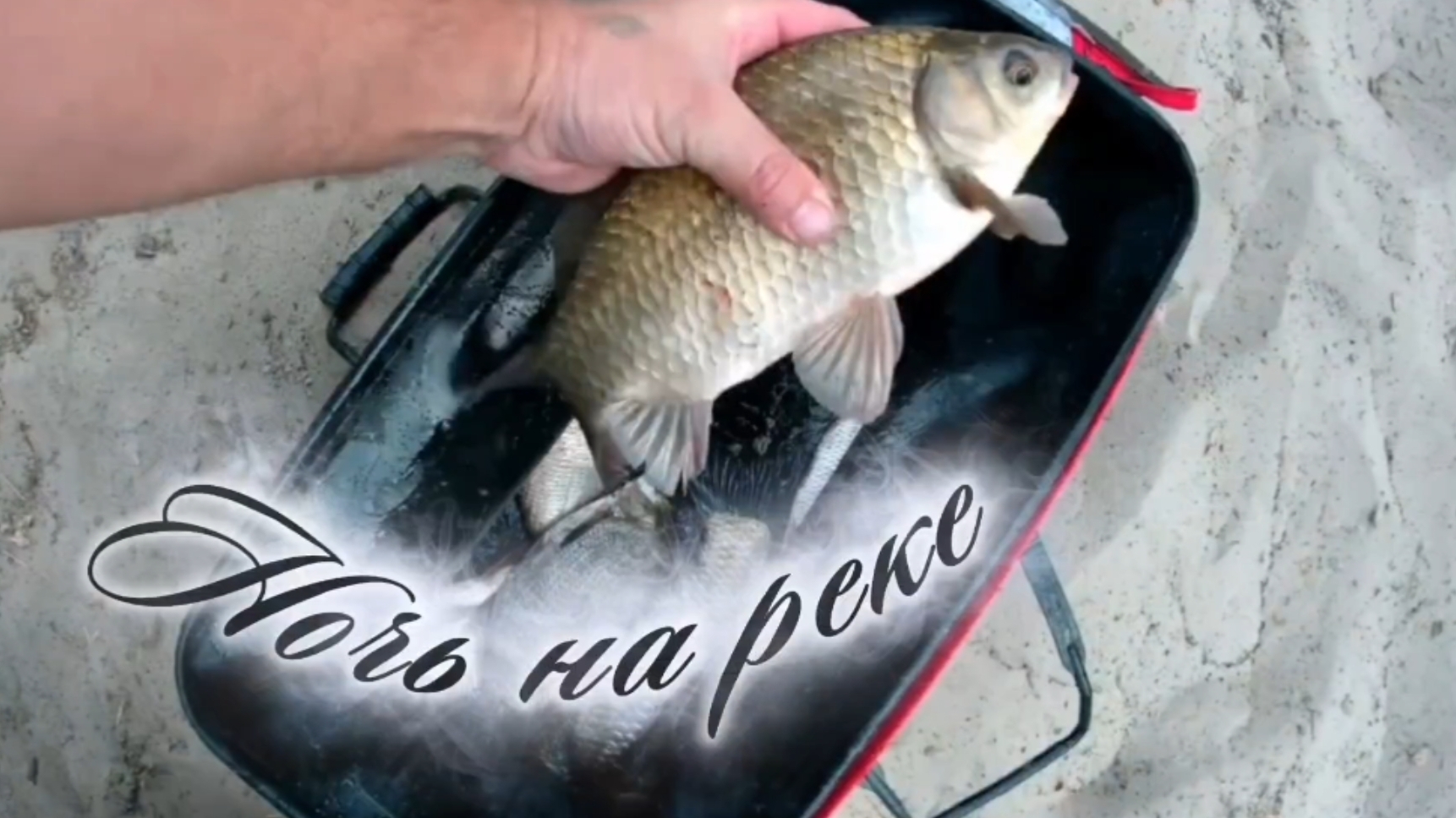 Ночь на реке