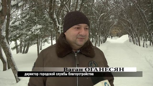 Снежная борьба