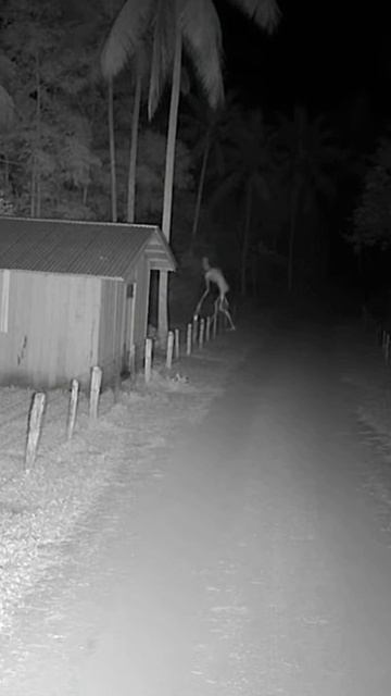 #shorts где то в Африке