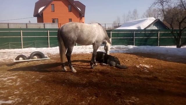 Ты снова не умылся!
