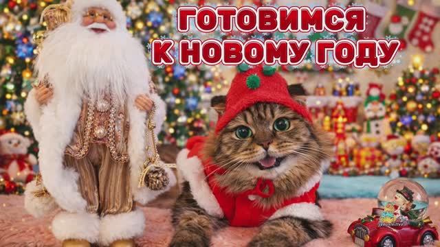 Готовимся к Новому году🎄😸  #котики #скороновыйгод #котик