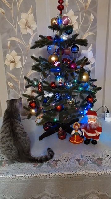 Выберу подарок к новому году