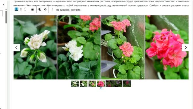 Галерея SimpLy Gallery Block на сайте с WordPress