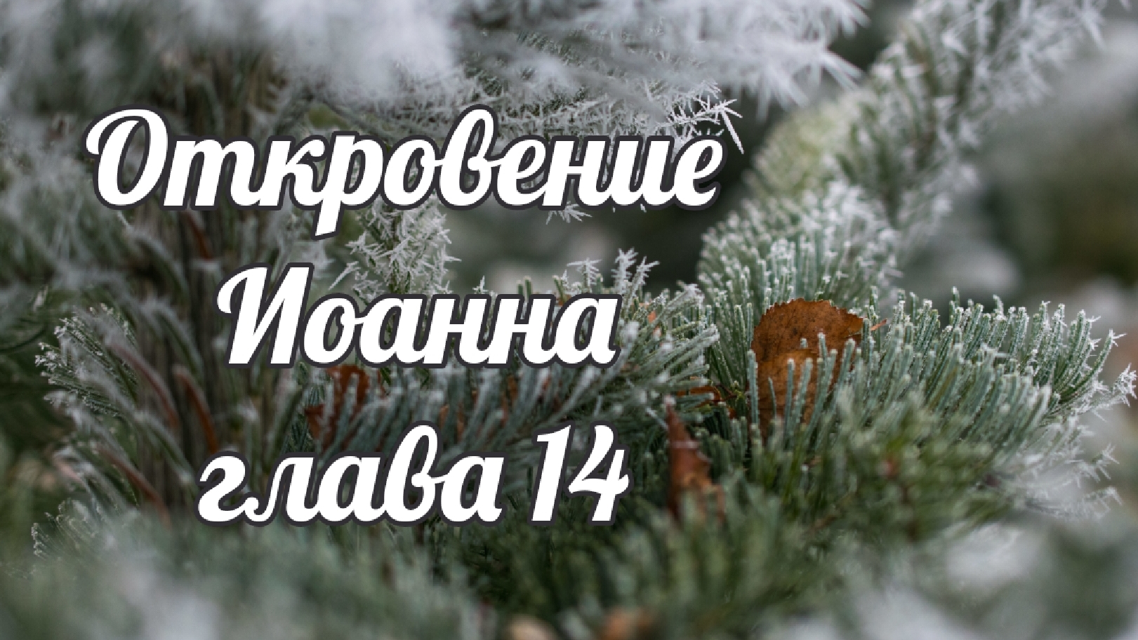 Откровение Иоанна глава 14
