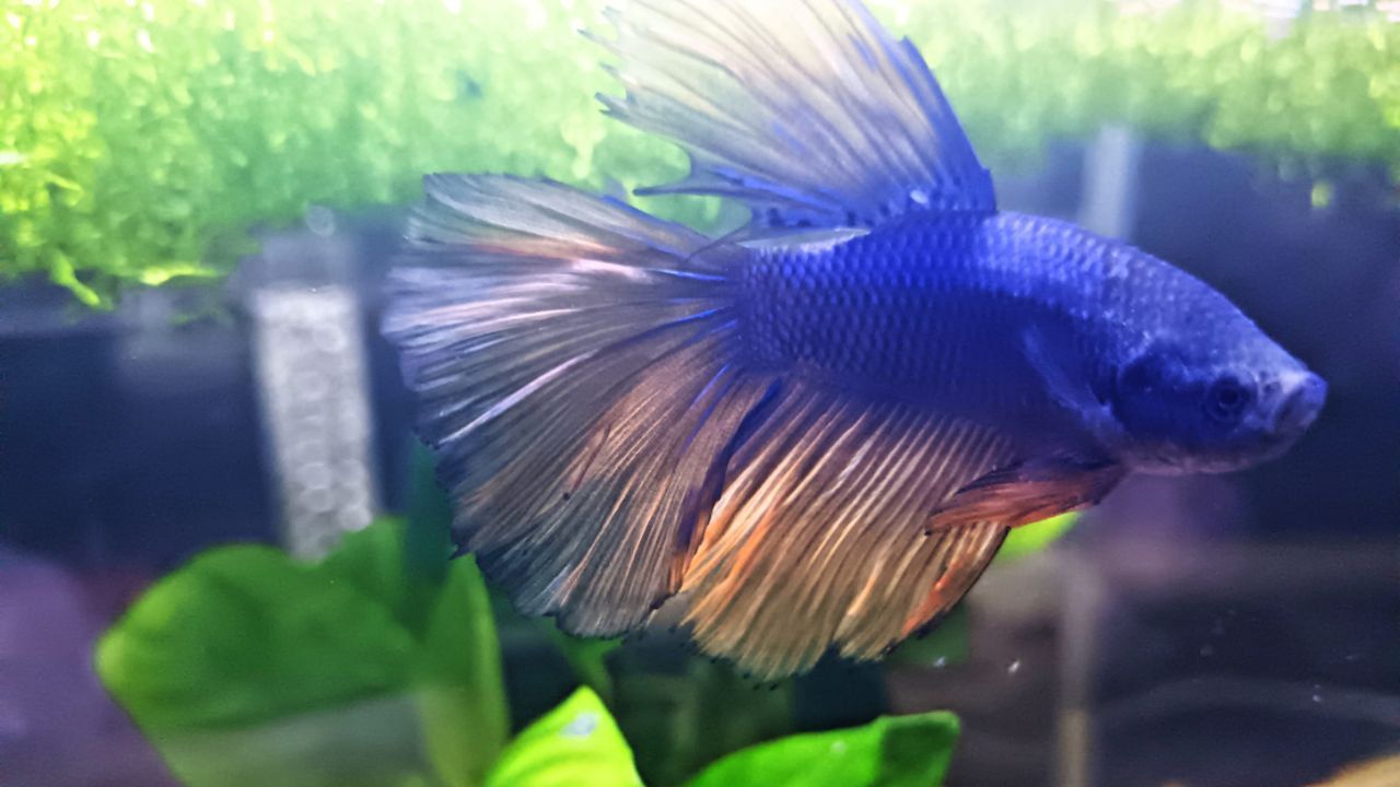 Подарок дочери Назима Марьям от Деда Мороза