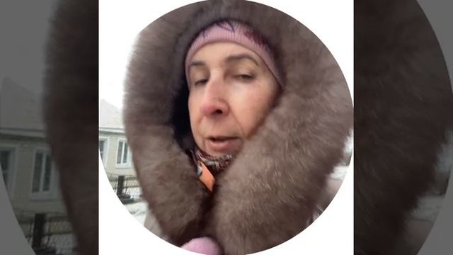 Неэффективность хвойного опада в посадочных ямах