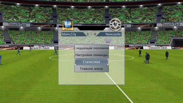 АПЛ. 11 раунд. Манчестер Сити - Ньюкасл (4-1).