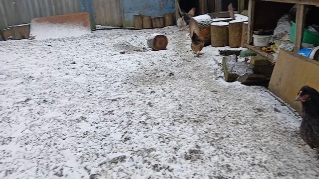 ПРО ЖИЛИ БЫЛИ, ПРИРОДНЫЕ КАЧЕЛИ.