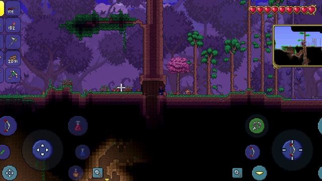 Играю в Террарию №6