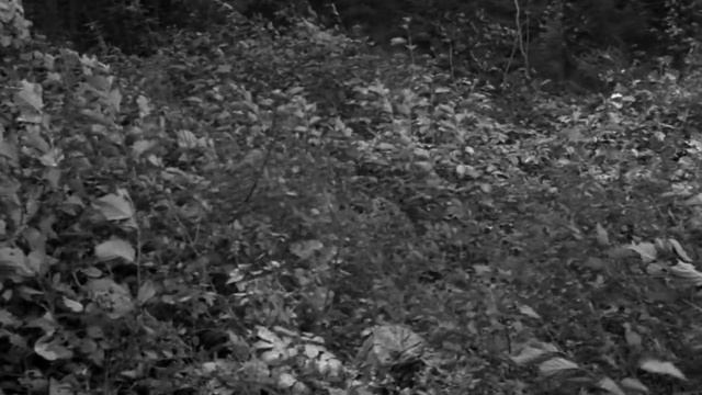 Мартиэль -  Мой сумасшедший мир