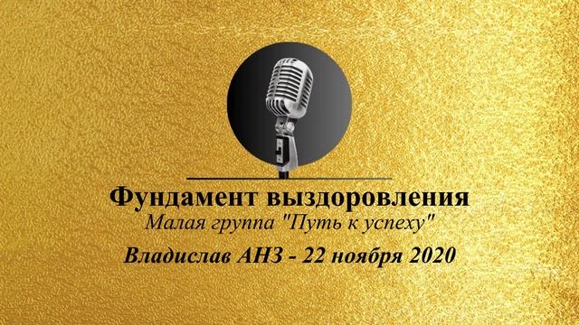 Спикерская Золотого Фонда АНЗ "Фундамент выздоровления" Владислав АНЗ, 22.11.2020