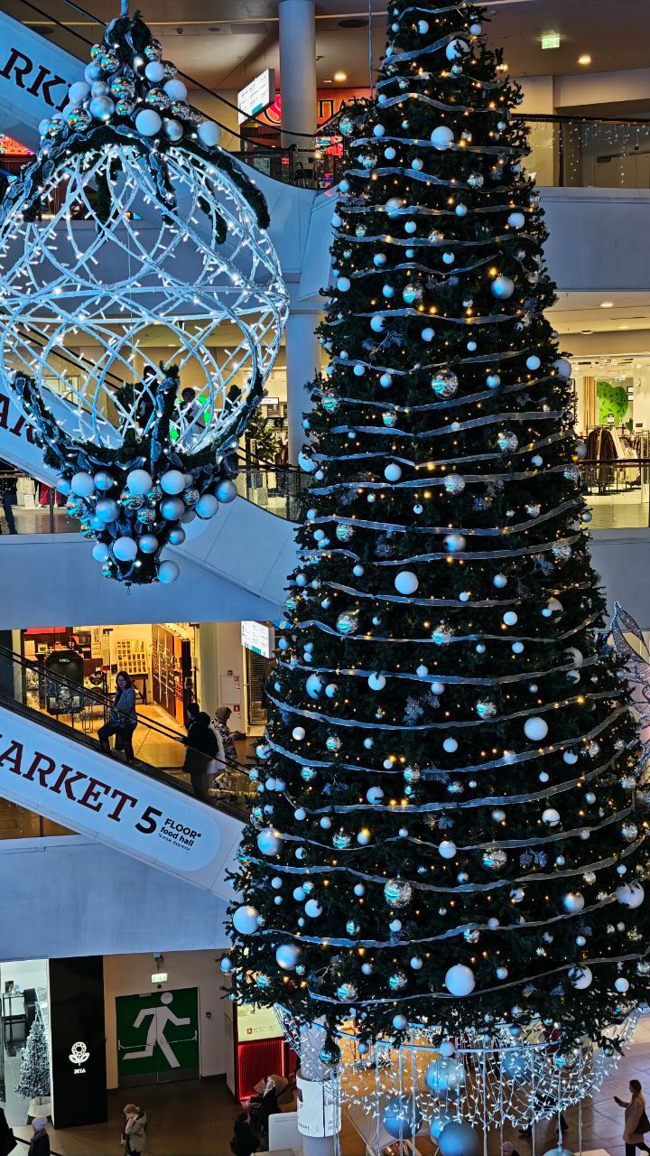 Прогулка по магазинам за новогодними вещами #christmas