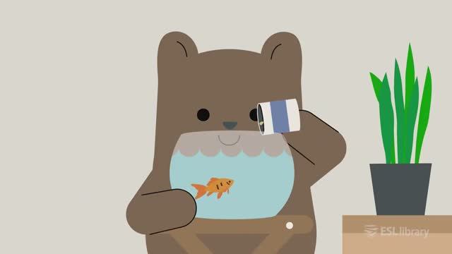 Evening Routine – Benji for Beginners