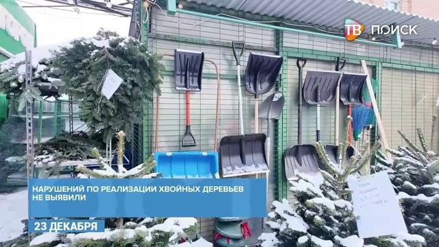 Отдел потребительского рынка проверил елочные базары