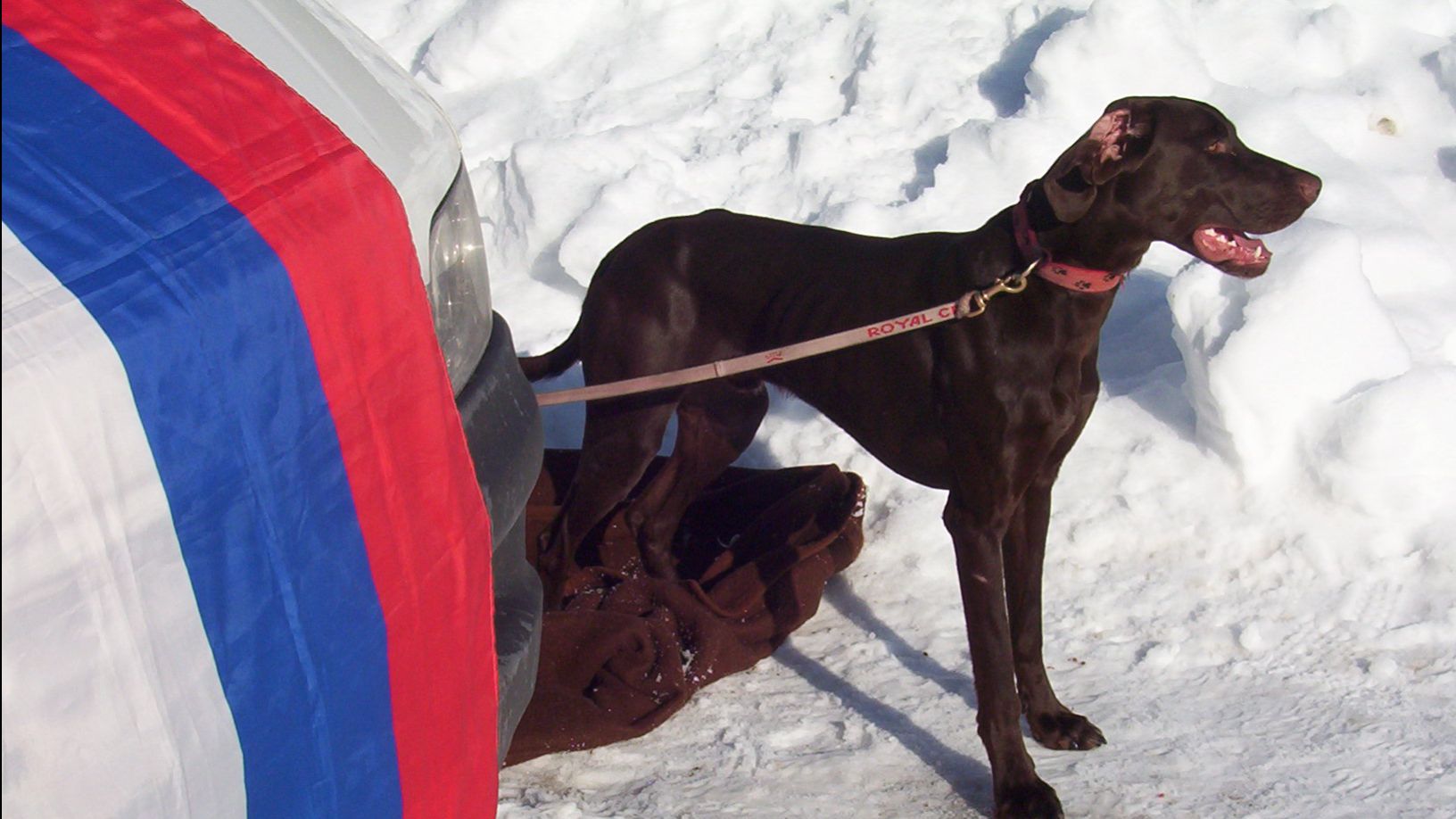 2006 год. Часть первая. Этап Кубка Мира по ски-джорингу. Камчатка.