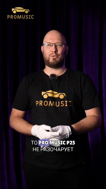 Honda Insight 2 + Pro Music P25