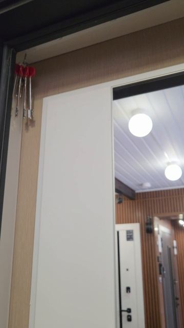 Входная дверь Асд Бриг Зеркало Белый матовый. Видеообзор модели