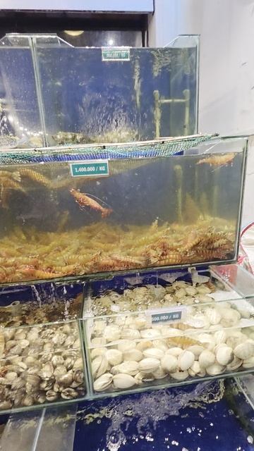 Живая еда. Аквариум. Фукуок. Вьетнам. Отпуск зимой.