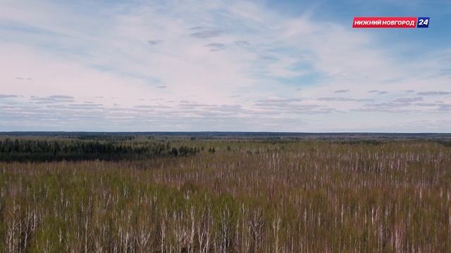 Минлесхоз_фильм_2_2024