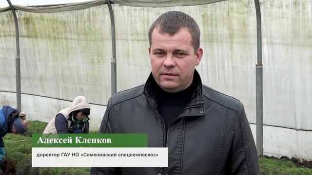 Лес и человек_национальный проект Экология_6_2023