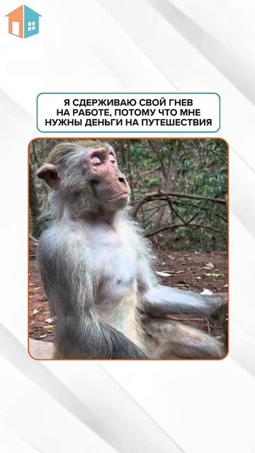 Работа и путешествия