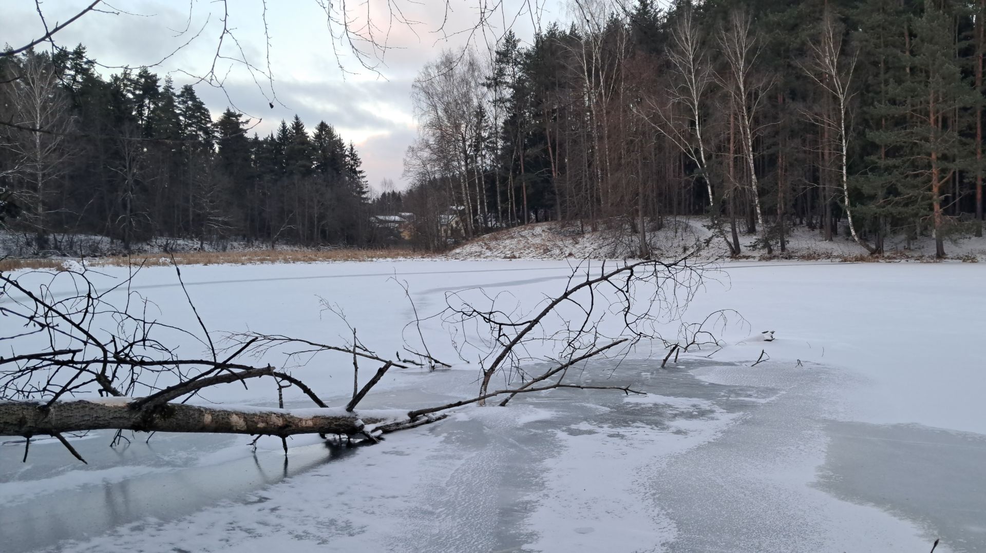 Вести с водоёма 23.12.2025