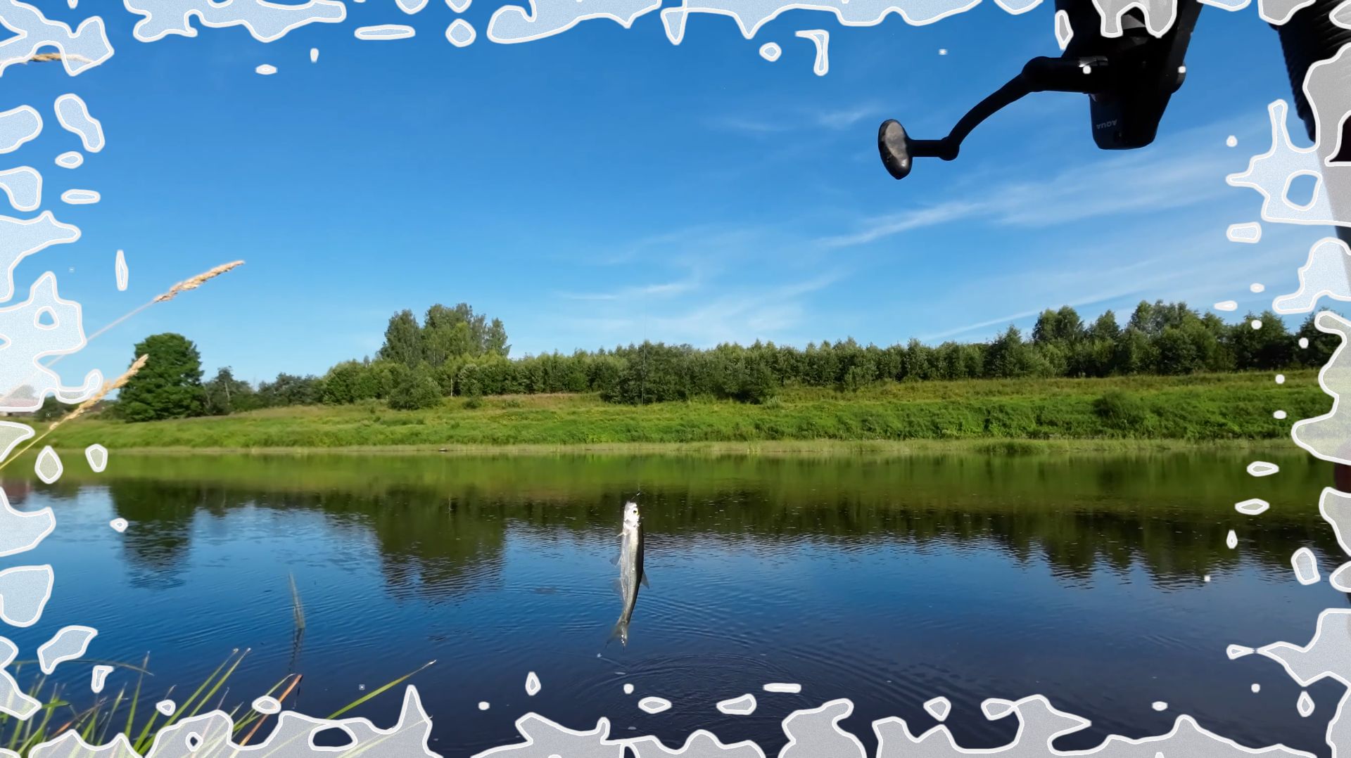 Поймал и отпустил