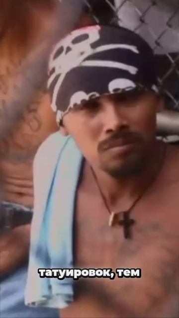Бандиты из Мара Сальватруче и их татуировки