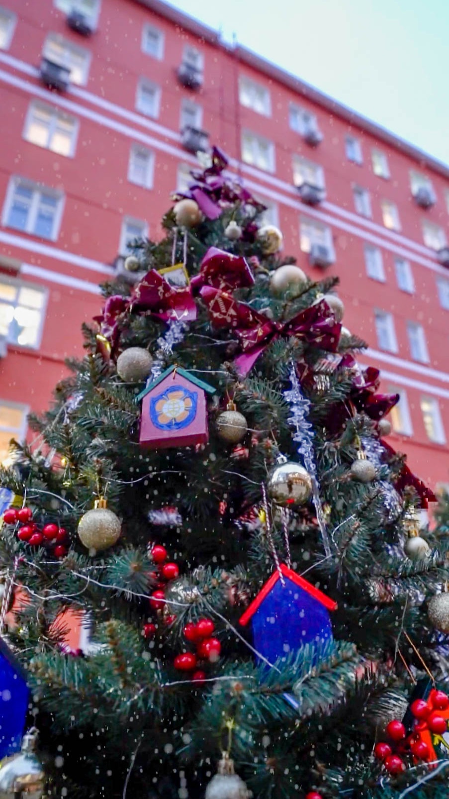 Новогодняя ёлка Института публичного права и управления Университета имени О.Е. Кутафина (МГЮА)