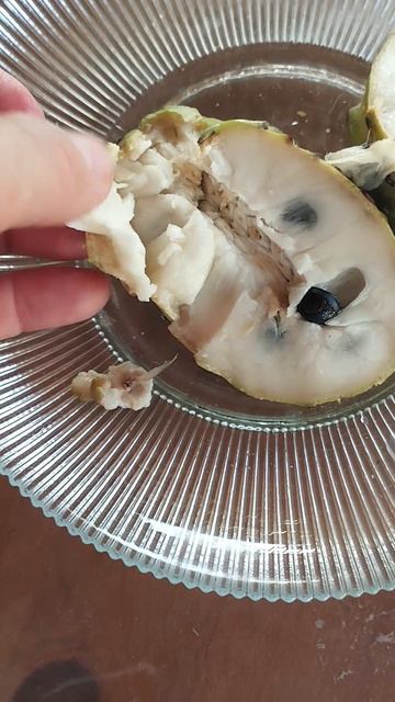 Экзотика в саду: анона и гуава