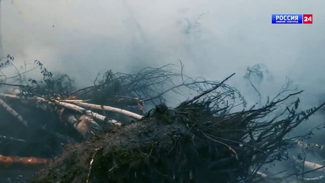 Лес и человек_лесная охрана и федеральный государственный лесной контроль (надзор)_8_2023