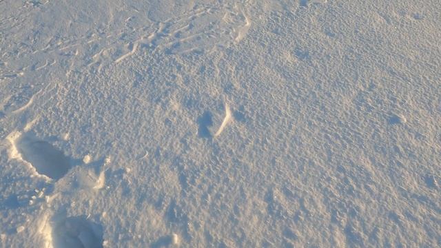 Моя религия.😇