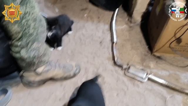 Главный охранник и боец