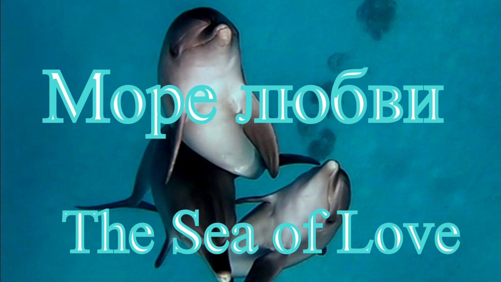 Красное море. Море любви