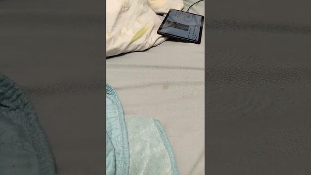 выполняем задания от подписчиков