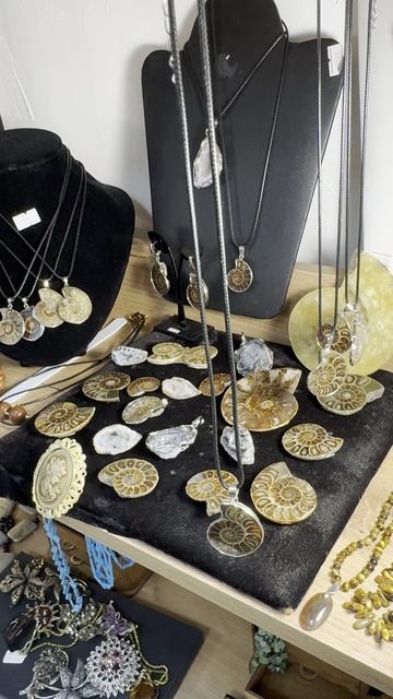 Аммонит IMG_1499