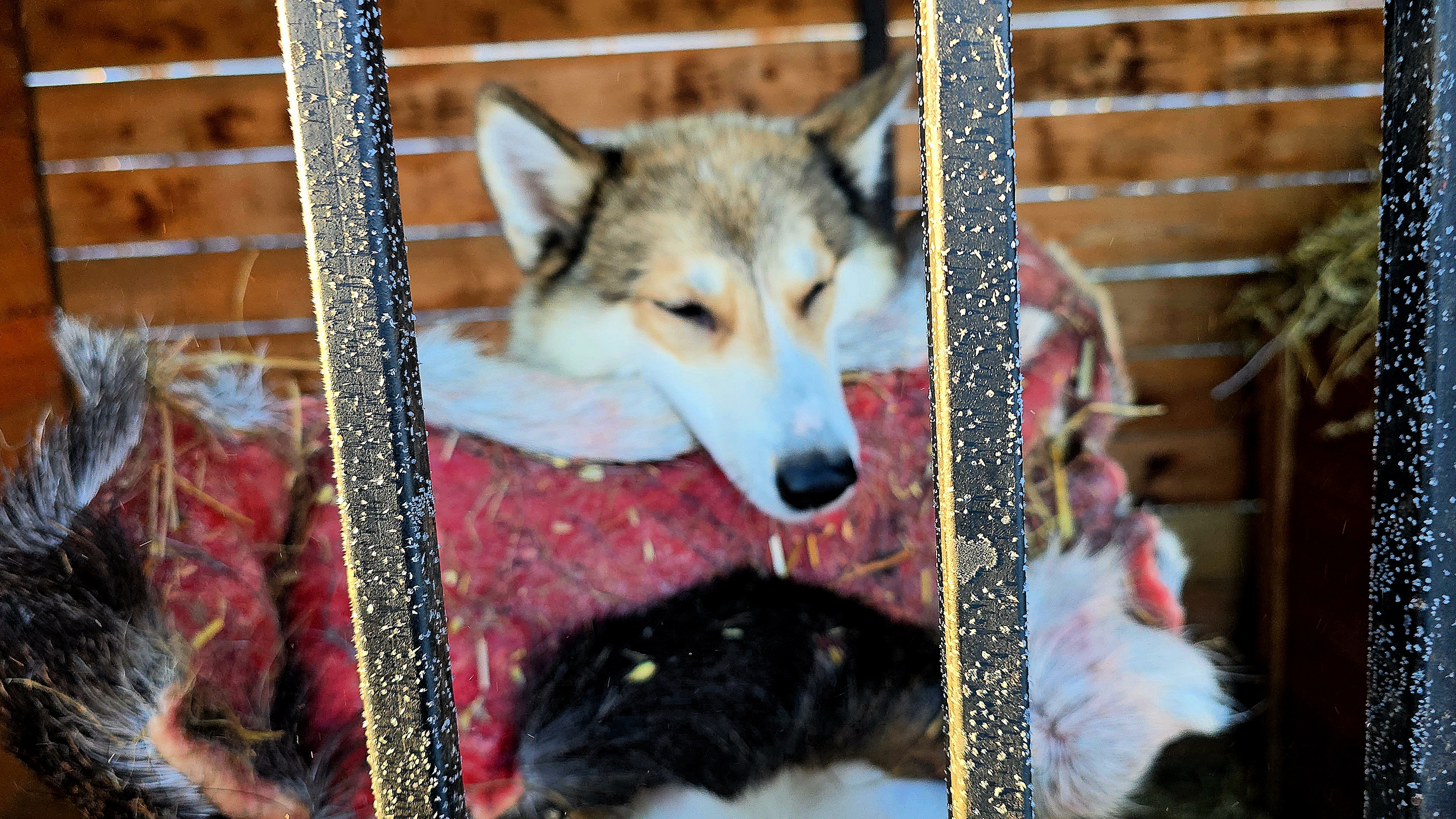 С утра по морозу