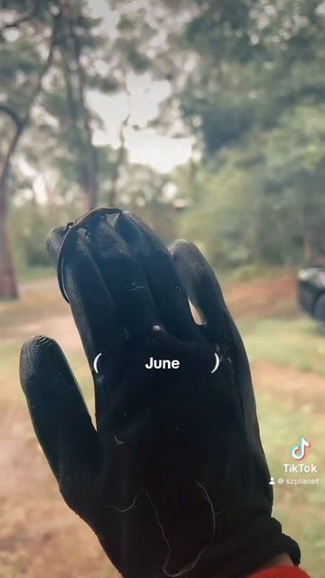 Мои Итоги 2025 года