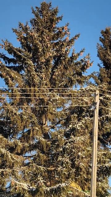 Зима в деревне Тябердино Челны!