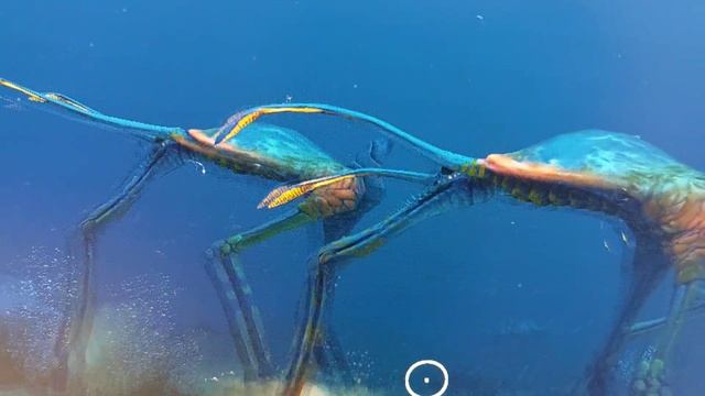 Песня "Тайна глубин Subnautica" - первая песня моего сына.