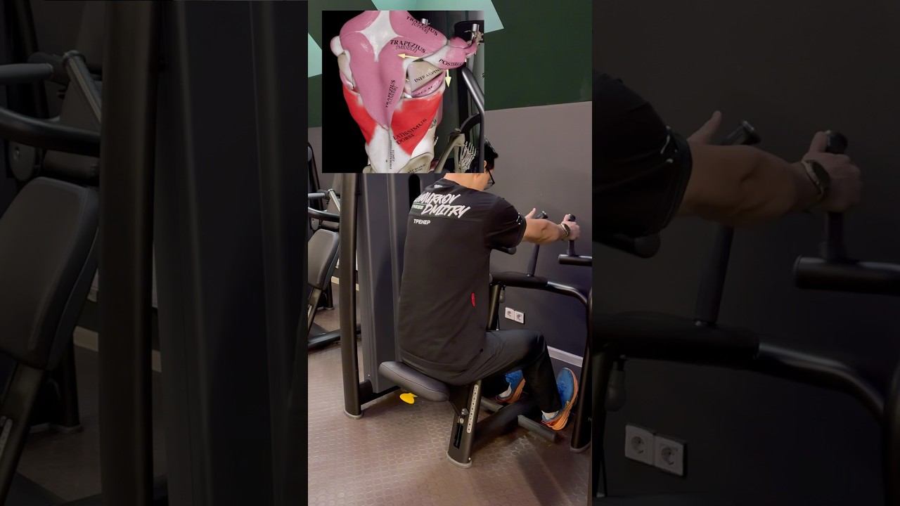 Тяга горизонтальная в тренажере