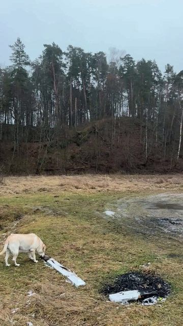 Ульзана anzl.ru , природа , документы.