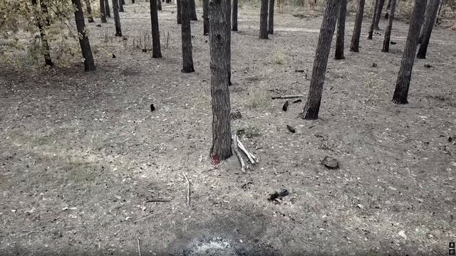 эдит медведь Валера