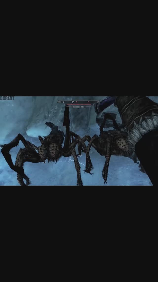 🎞️The Elder Scrolls V: Skyrim. Морозный паук.