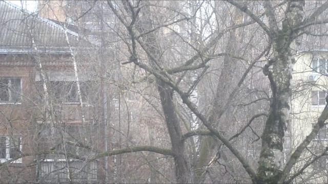 Снегопад 21.12.2025. 4b9b6fc8888