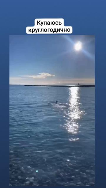 20 декабря, Сочи