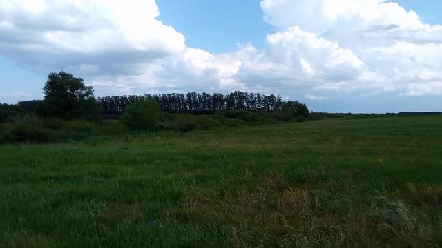 Исчезнувший посёлок Лещев, Ртищевский район.