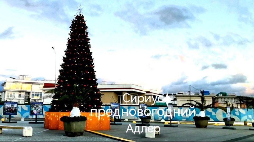 Сириус предновогодний. Адлер.